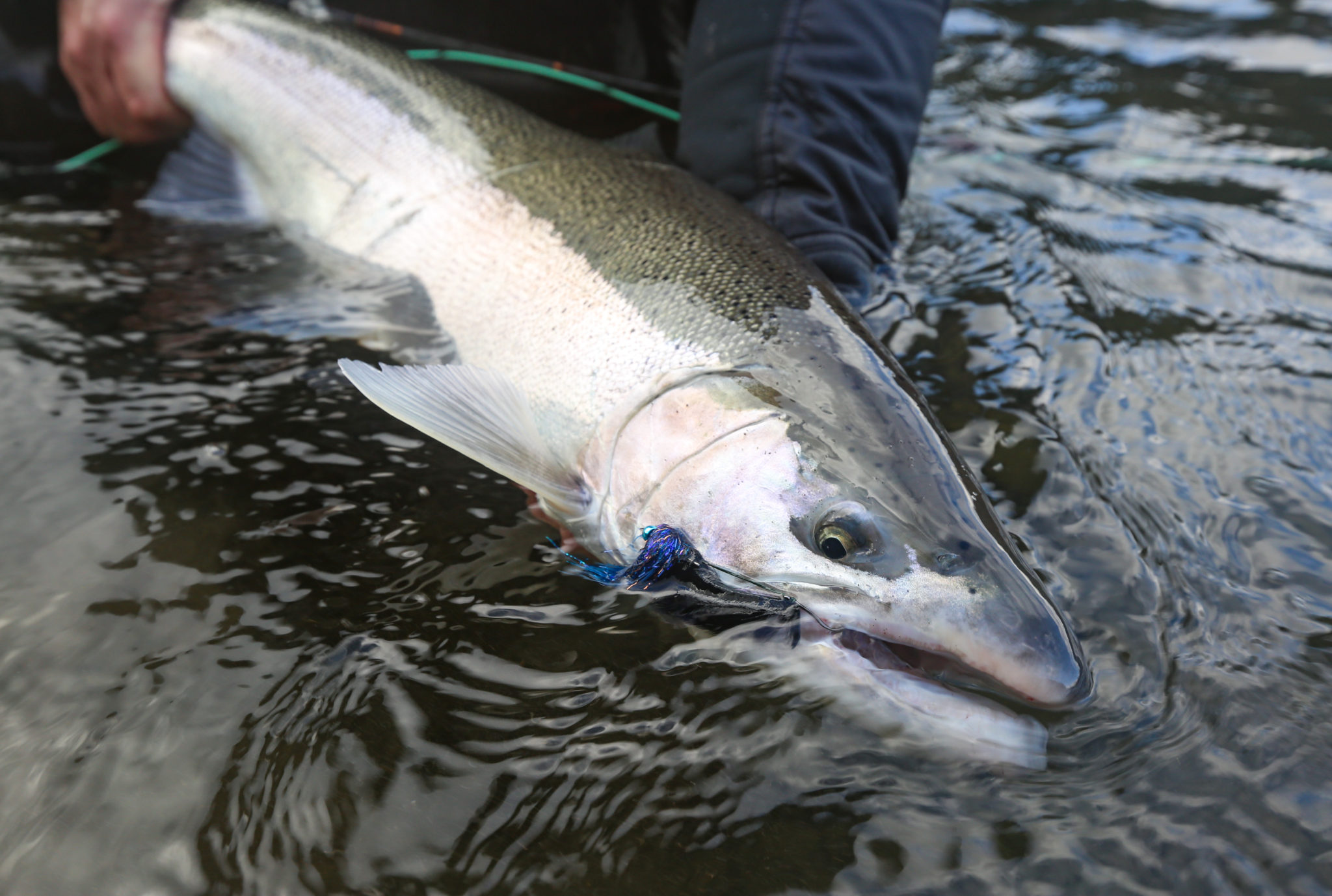 Fly Fishing & Fly Tying Classes in Portland | The Portland Fly Shop
