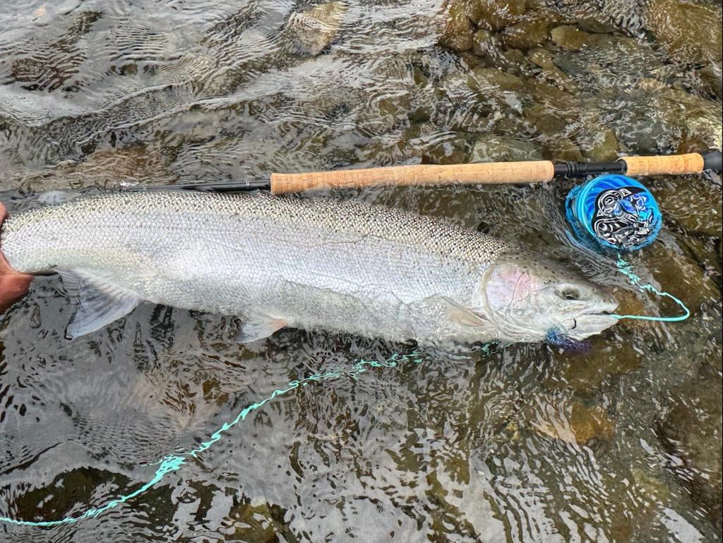 Fly Fishing & Fly Tying Classes in Portland | The Portland Fly Shop
